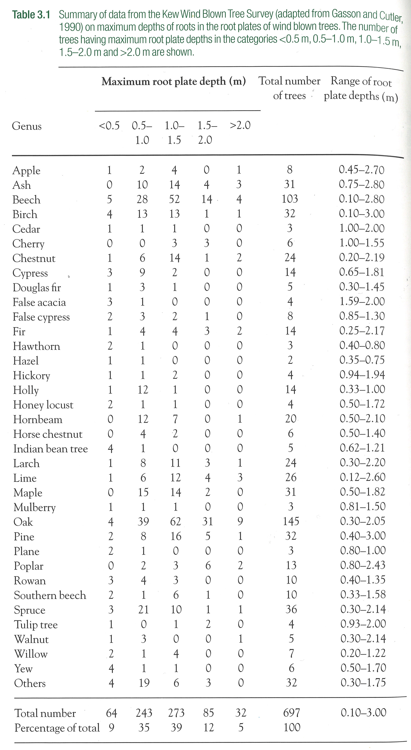Residential Trees (Part 6) - Protecting Paving - Landscape Design Tips