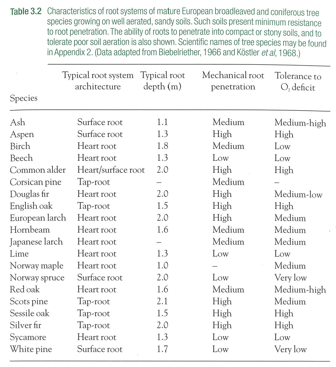 Residential Trees (Part 6) - Protecting Paving - Landscape Design Tips